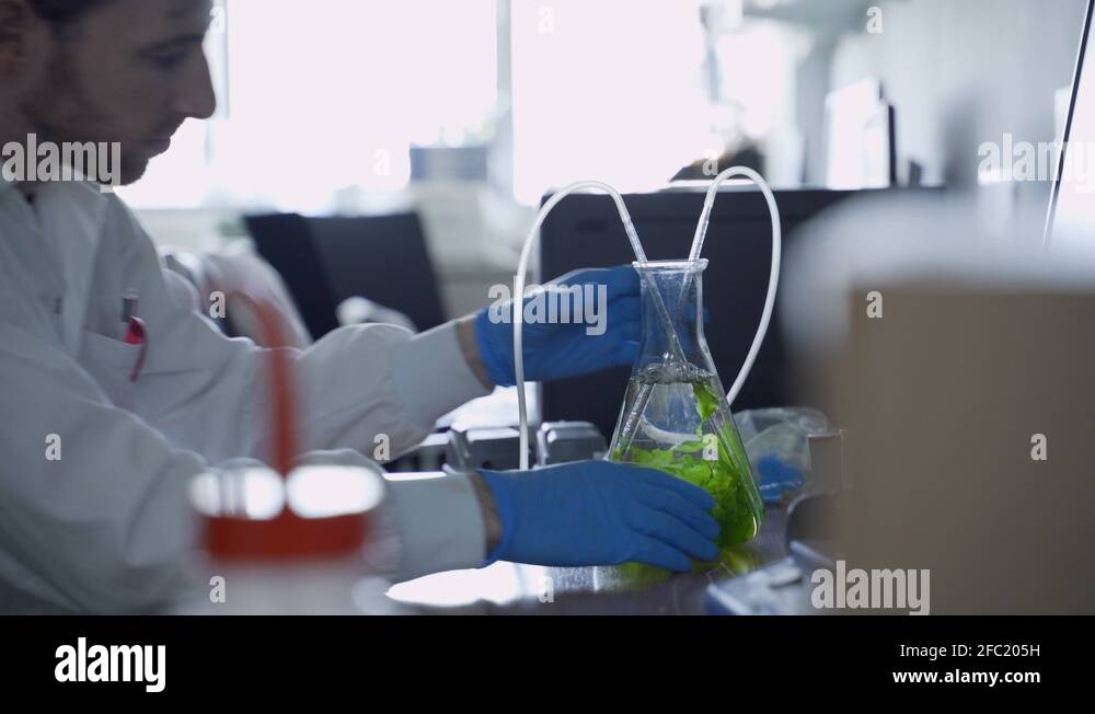 Bubbling flask Stock Videos & Footage - HD and 4K Video Clips - Alamy