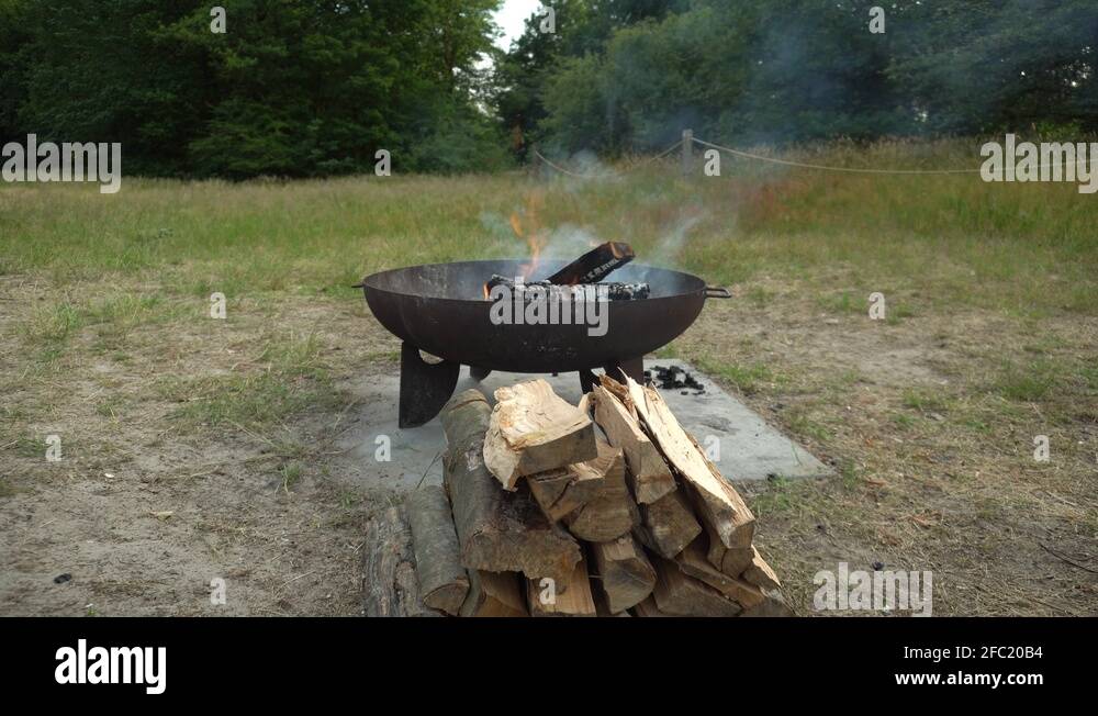 Log pile background Stock Videos & Footage - HD and 4K Video Clips - Alamy