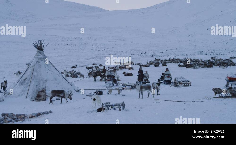 People living in yurts In Arctic in the middle of field, people wearing ...