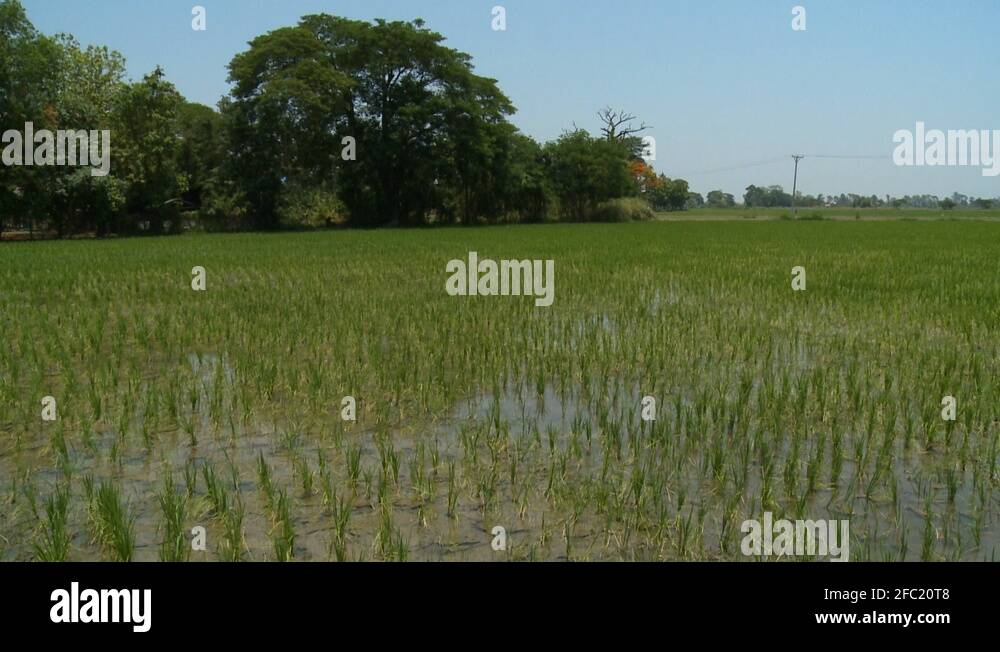 Field cultivation Stock Videos & Footage - HD and 4K Video Clips - Alamy