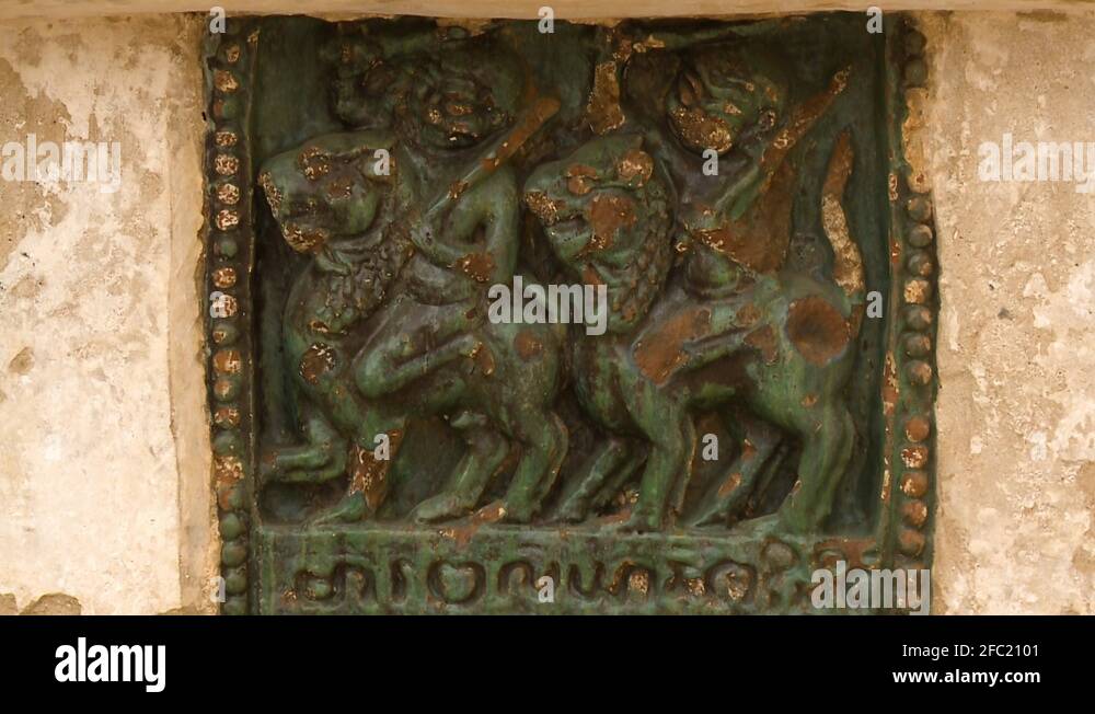 Animal riding animals Stock Videos & Footage - HD and 4K Video Clips ...