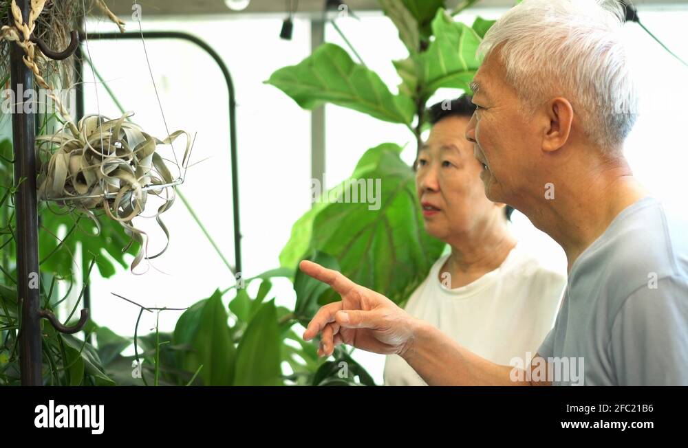 Korean conservation Stock Videos & Footage - HD and 4K Video Clips - Alamy