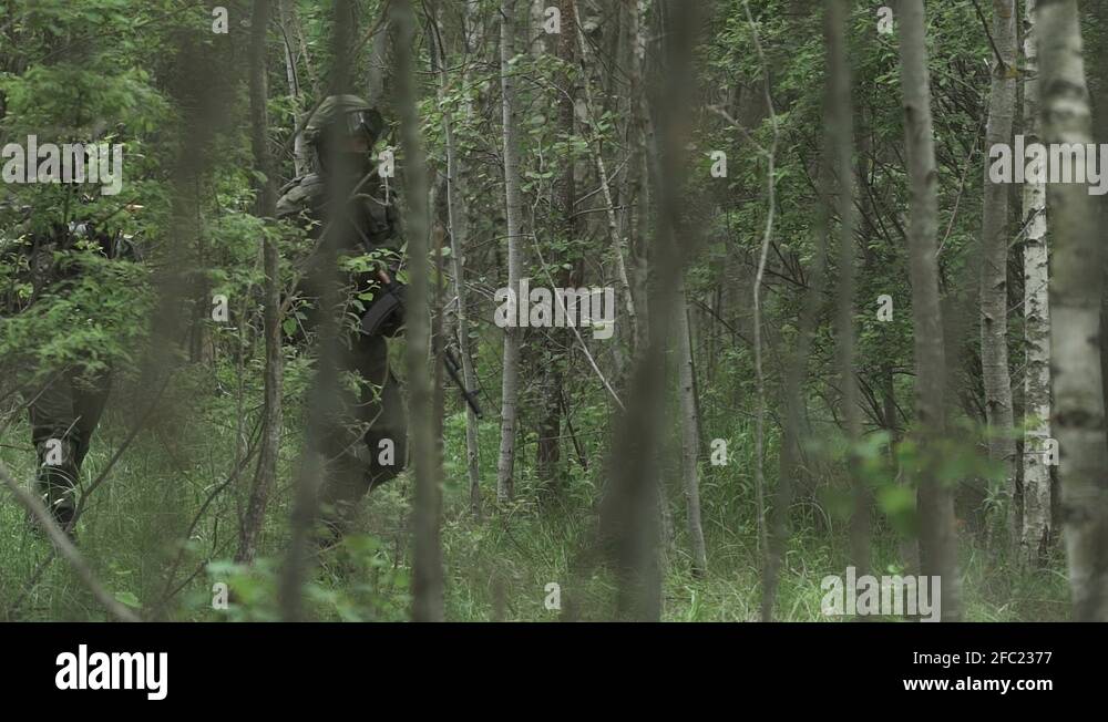 Forest patrol Stock Videos & Footage - HD and 4K Video Clips - Alamy