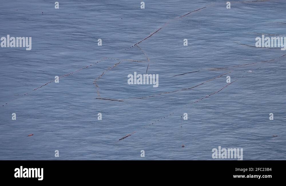 Trawlers and nets Stock Videos & Footage - HD and 4K Video Clips - Alamy