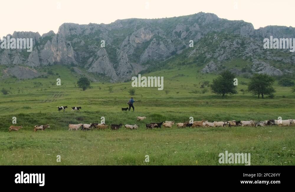 Leaning line Stock Videos & Footage - HD and 4K Video Clips - Alamy