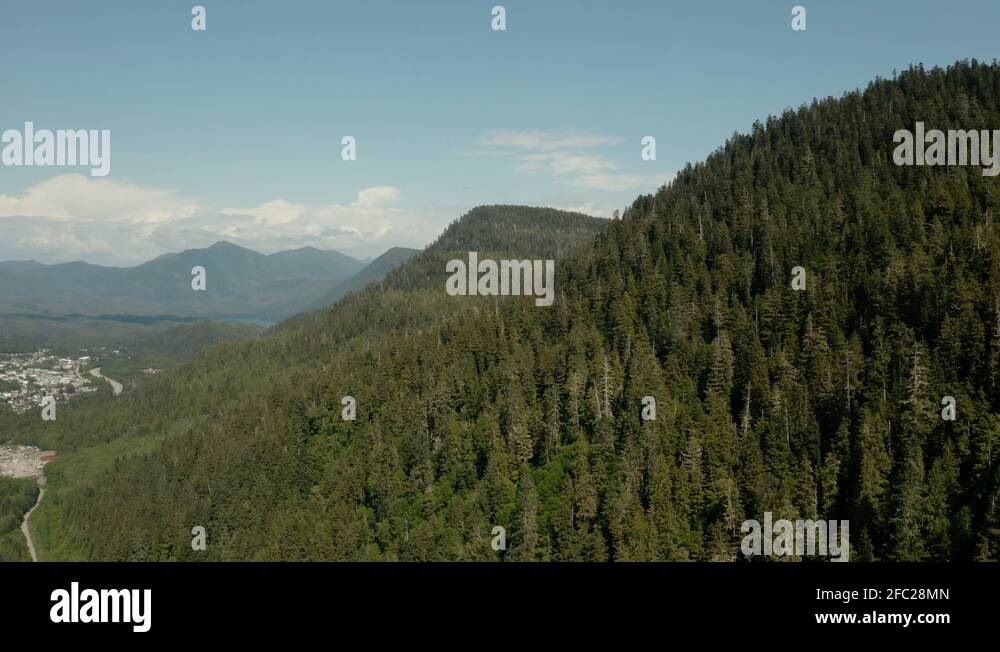 Rupert hill Stock Videos & Footage - HD and 4K Video Clips - Alamy
