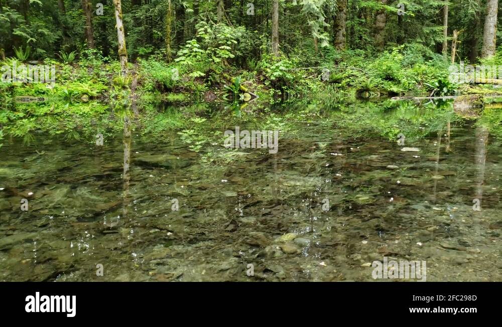 Beautiful pollution Stock Videos & Footage - HD and 4K Video Clips - Alamy