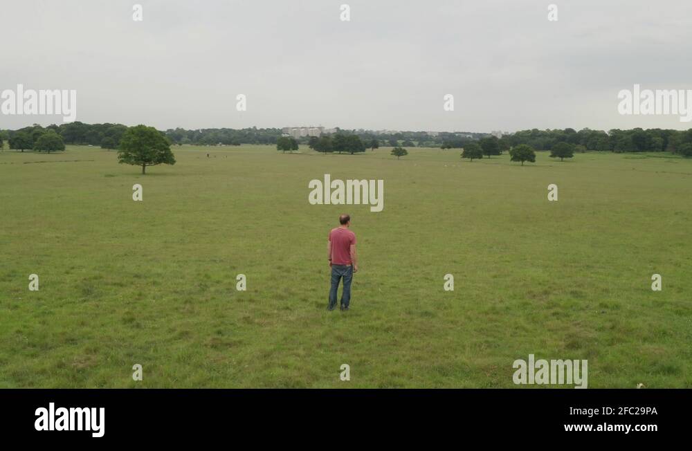 Green open space aerial Stock Videos & Footage - HD and 4K Video Clips ...