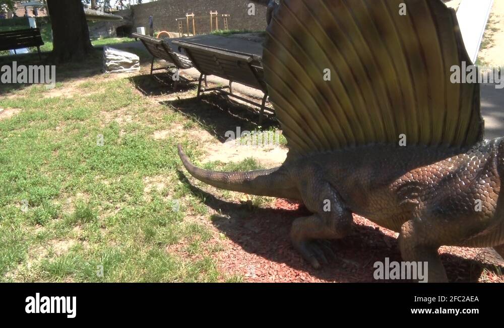 Realistic Dimetrodon dinosaur in dino park,legs with claws Stock Video ...