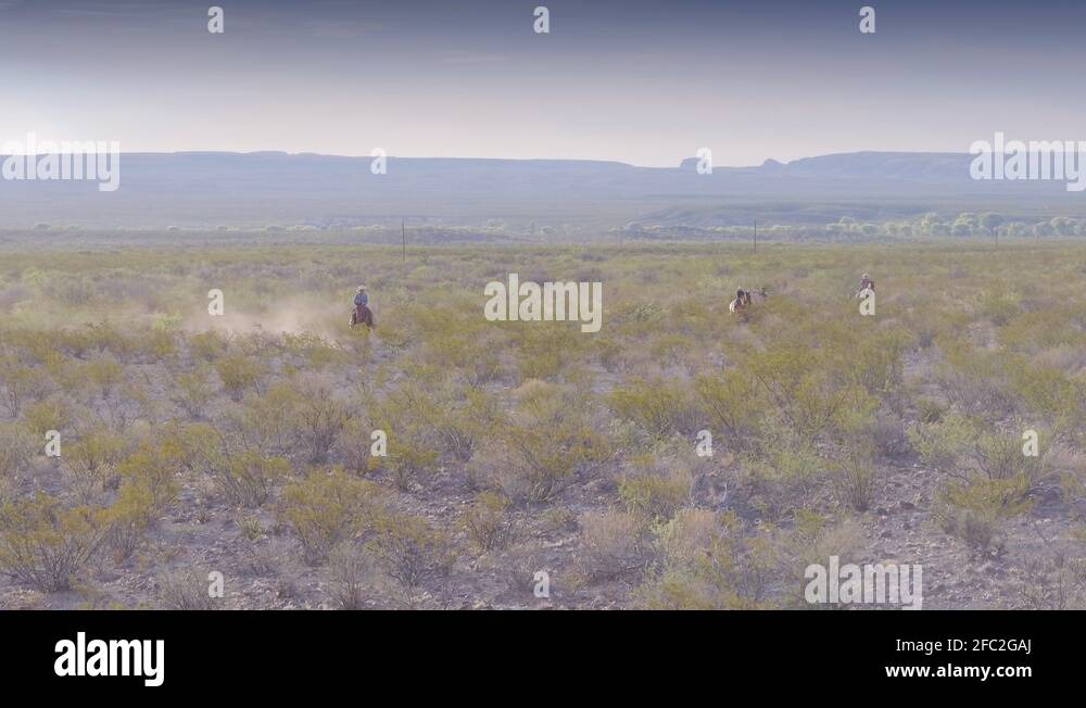 Vast empty desert Stock Videos & Footage - HD and 4K Video Clips - Alamy