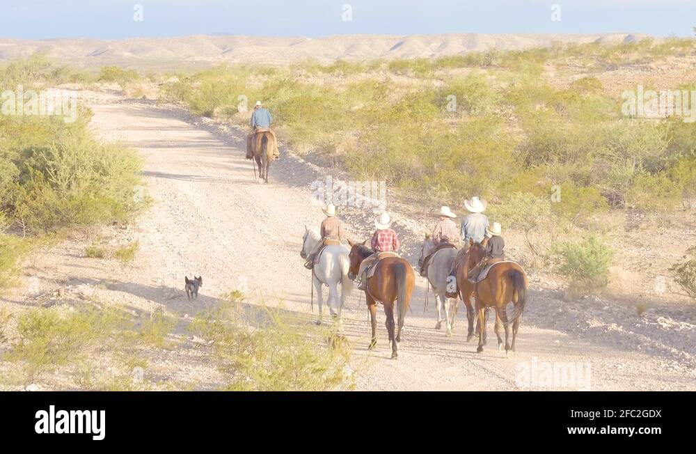 Desert cowboys wild west Stock Videos & Footage - HD and 4K Video Clips ...