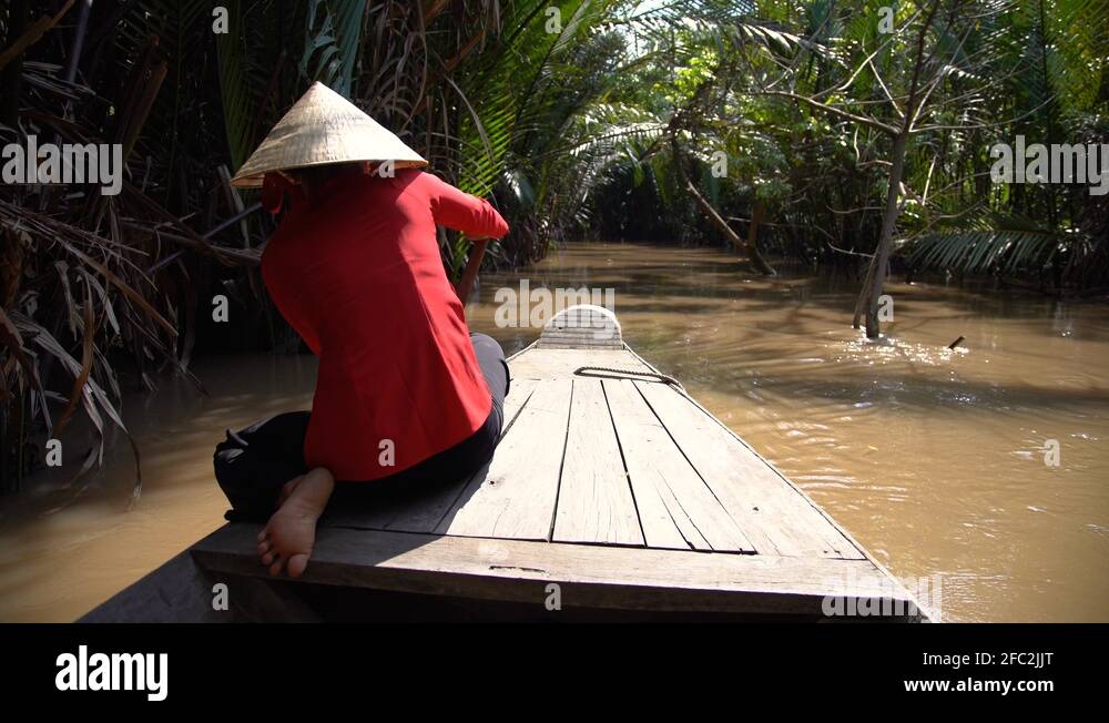 Vietnam delta jungle Stock Videos & Footage - HD and 4K Video Clips - Alamy