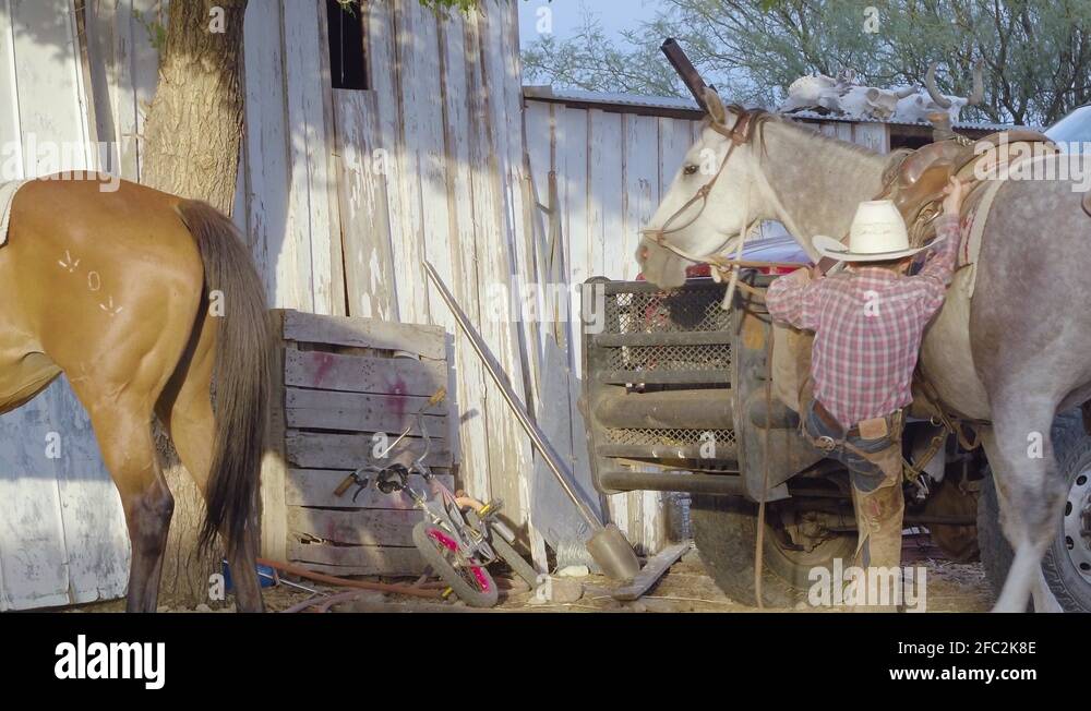 Onto her horse Stock Videos & Footage - HD and 4K Video Clips - Alamy