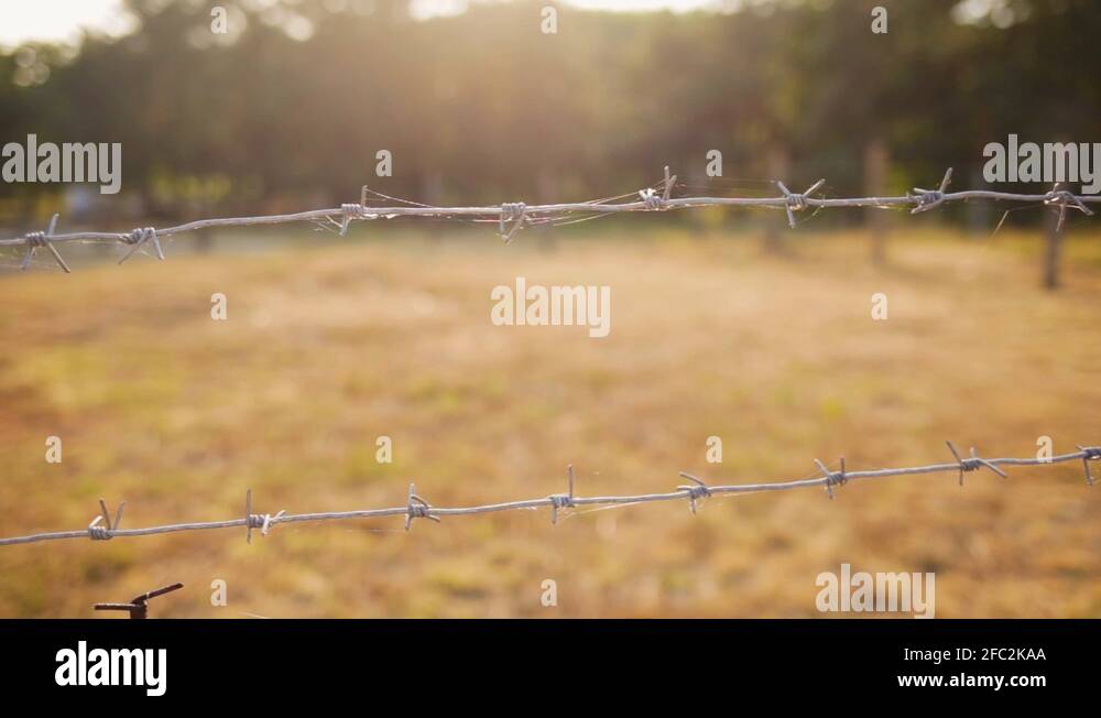 Sharp area Stock Videos & Footage - HD and 4K Video Clips - Alamy