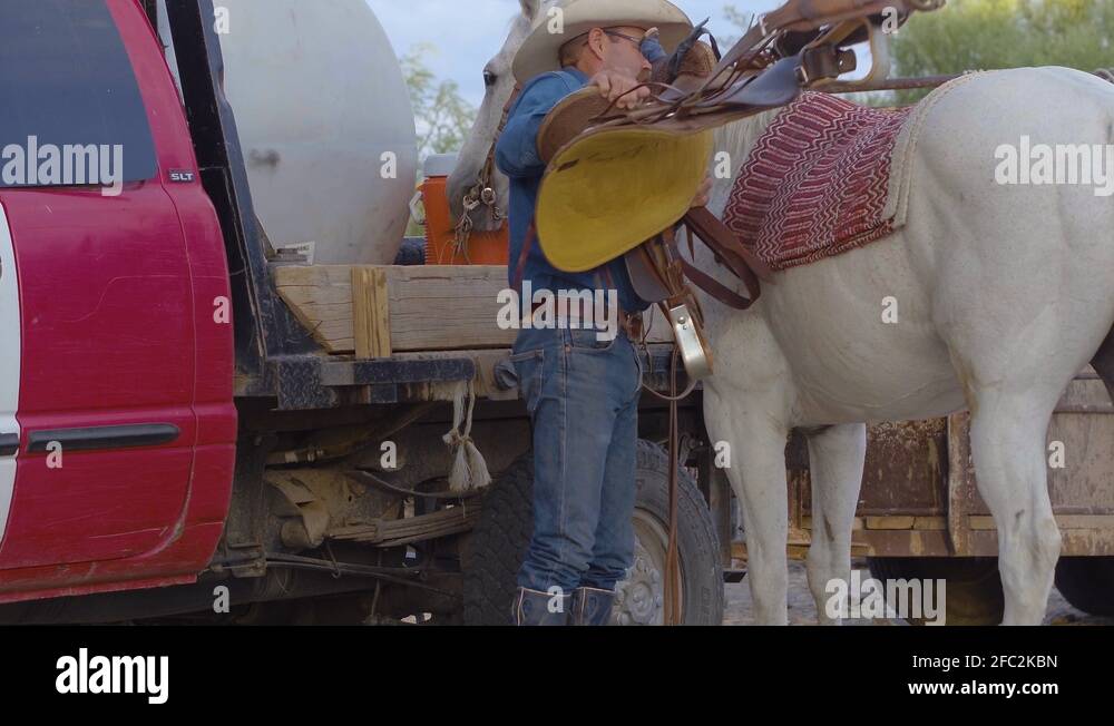 Man lifting the horse Stock Videos & Footage - HD and 4K Video Clips ...