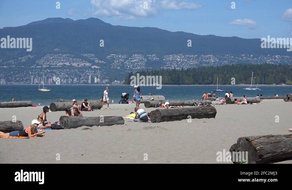 Sunbathing sunbathers Stock Videos & Footage - HD and 4K Video Clips ...