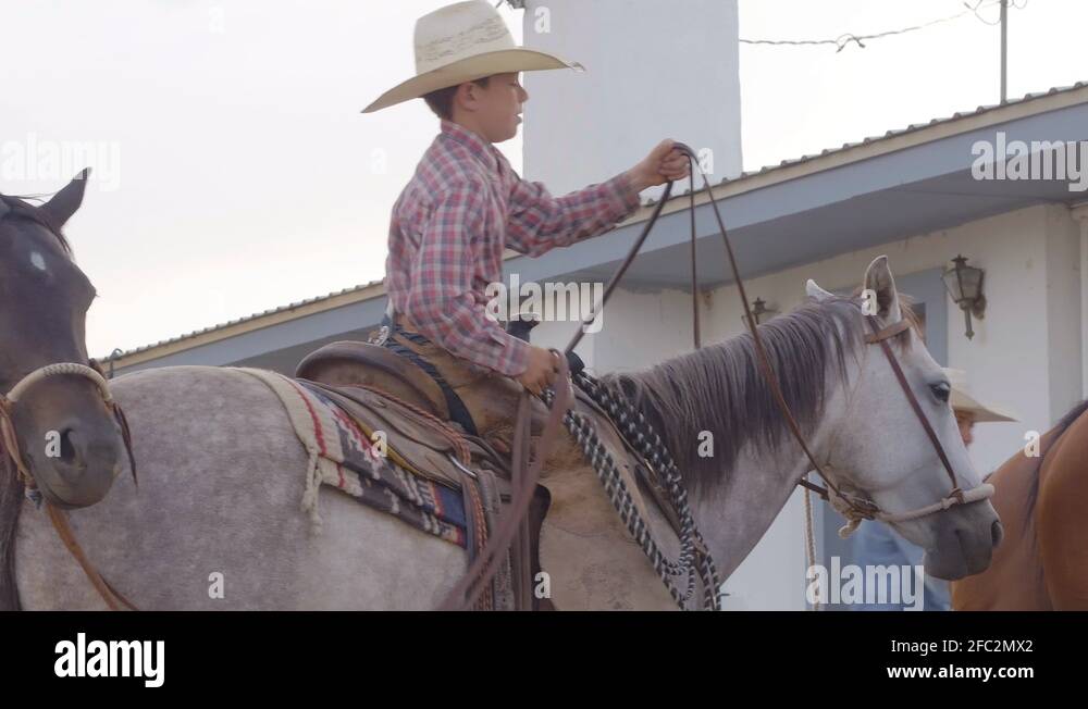 Boys riding horses Stock Videos & Footage - HD and 4K Video Clips - Alamy
