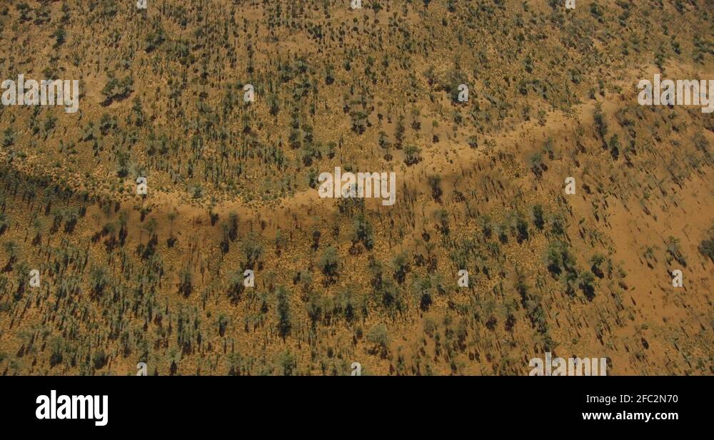 Red desert australia tree Stock Videos & Footage - HD and 4K Video ...