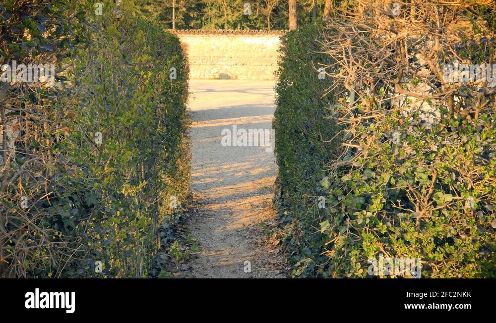 Formal hedges Stock Videos & Footage - HD and 4K Video Clips - Alamy