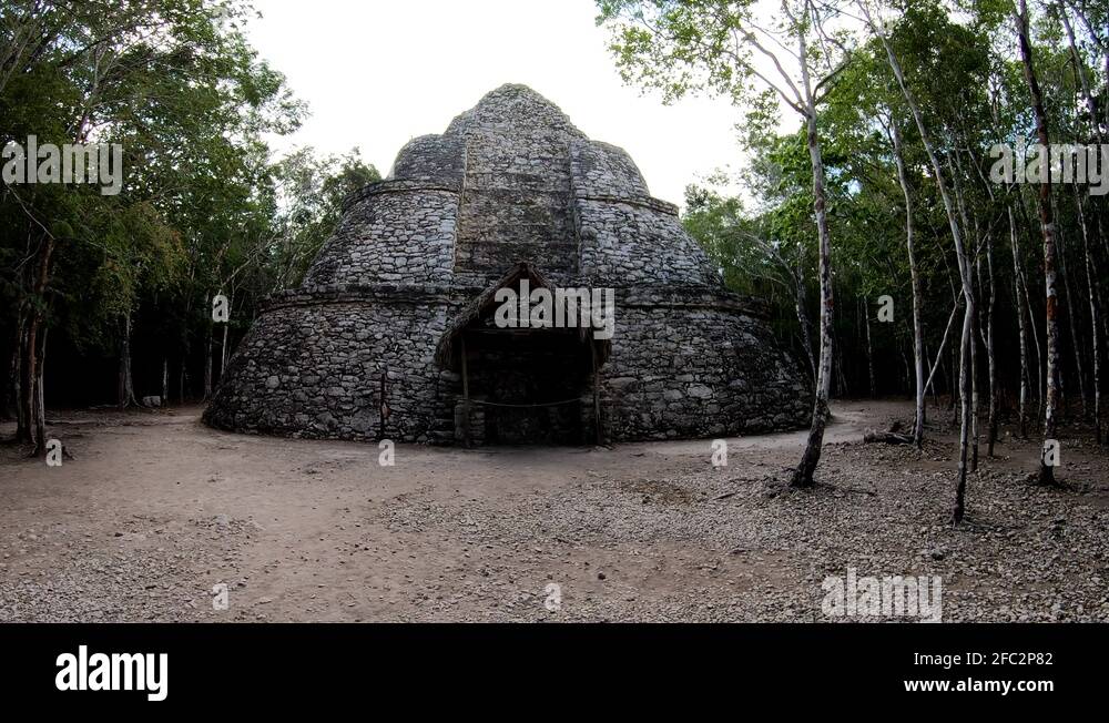 Jungle rainforest yucatan mexico central Stock Videos & Footage - HD ...