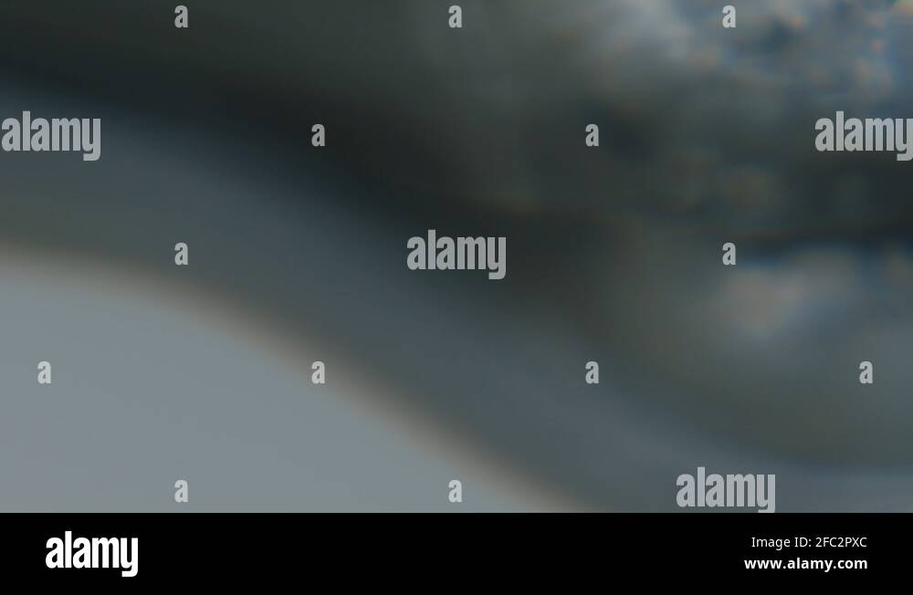 White transparent fluid with small crystals insideing slowly. Handheld ...