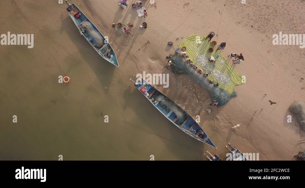 Grouper fish caught fish Stock Videos & Footage - HD and 4K Video Clips ...