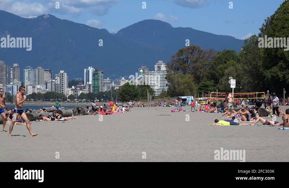 Men sunbathing Stock Videos & Footage - HD and 4K Video Clips - Alamy