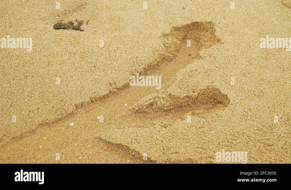 Water sand carving out a small trench across the surface of dune in ...