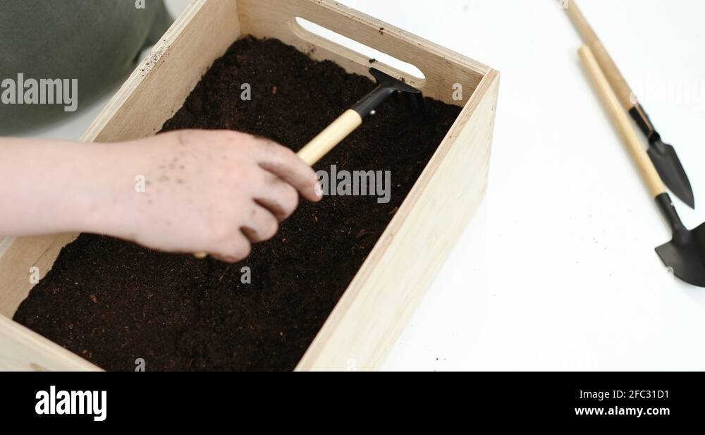 Little rake Stock Videos & Footage - HD and 4K Video Clips - Alamy