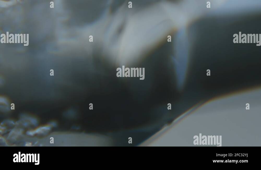 White transparent fluid with small crystals insideing slowly. Static ...
