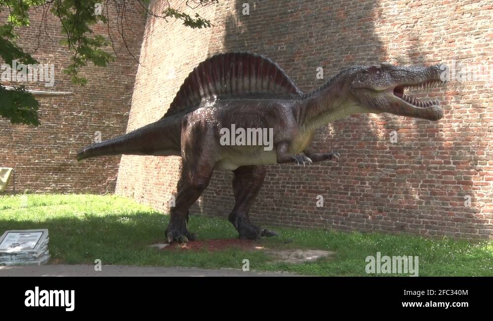 Dinosaurs parasaurolophus Stock Videos & Footage - HD and 4K Video Clips - Alamy