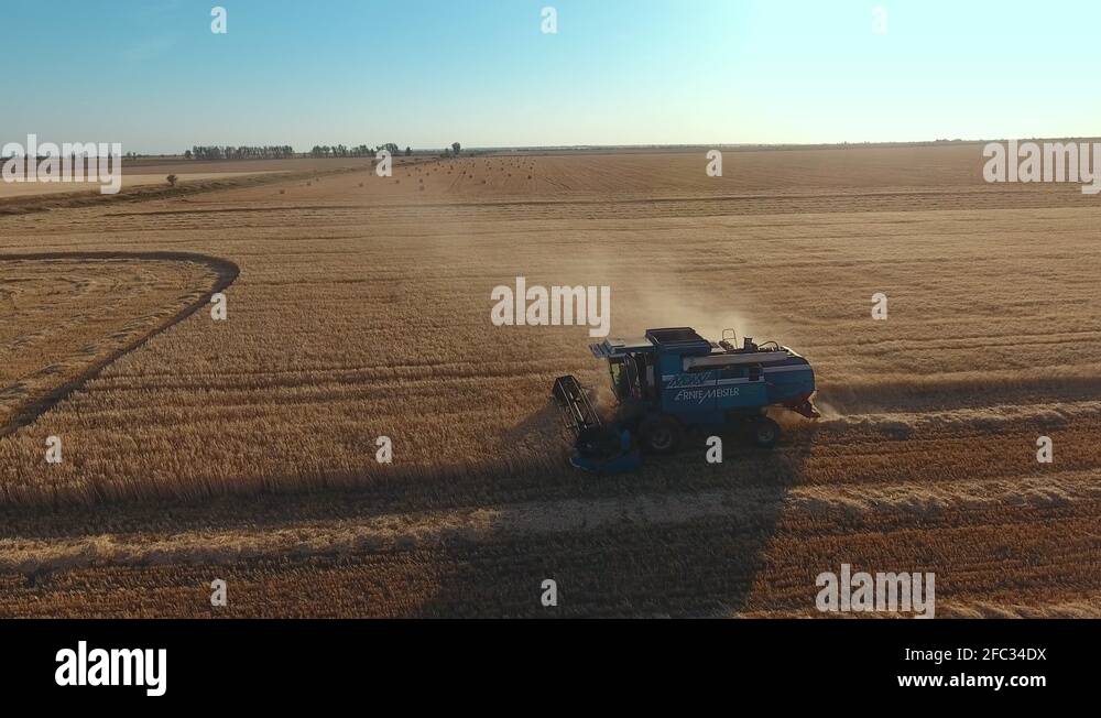 Winnowing wheat Stock Videos & Footage - HD and 4K Video Clips - Alamy