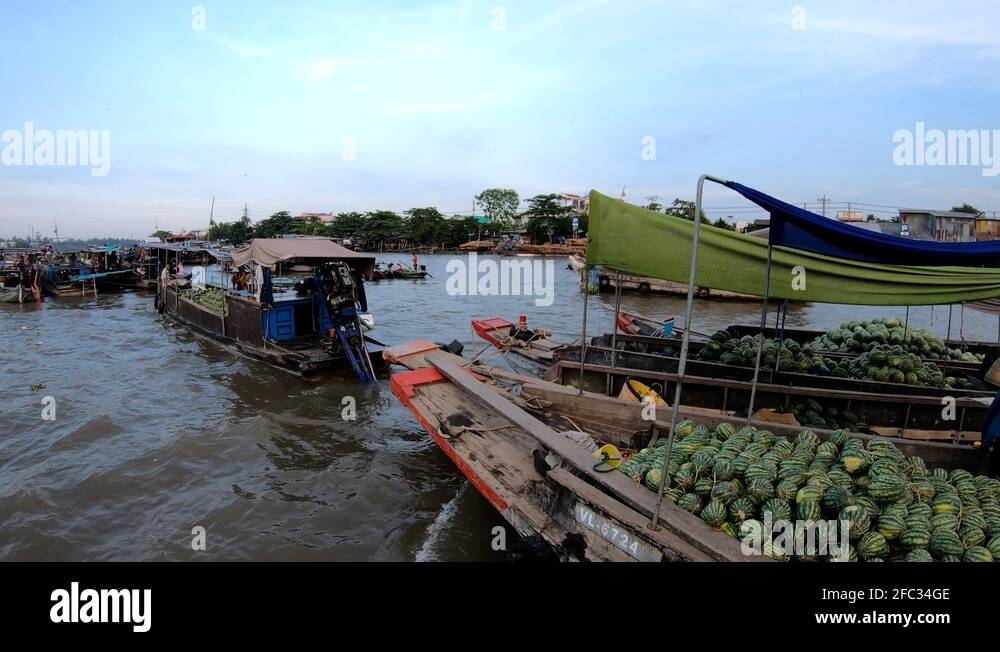 Vegetable vessels Stock Videos & Footage - HD and 4K Video Clips - Alamy
