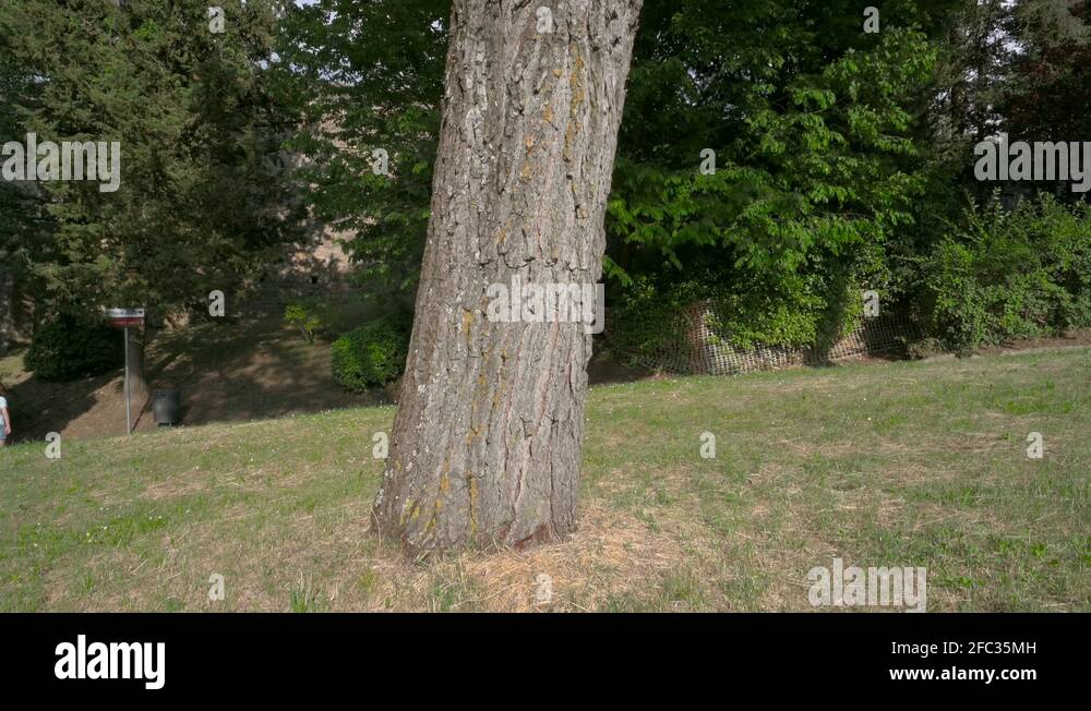 From bottom to top view Stock Videos & Footage - HD and 4K Video Clips ...