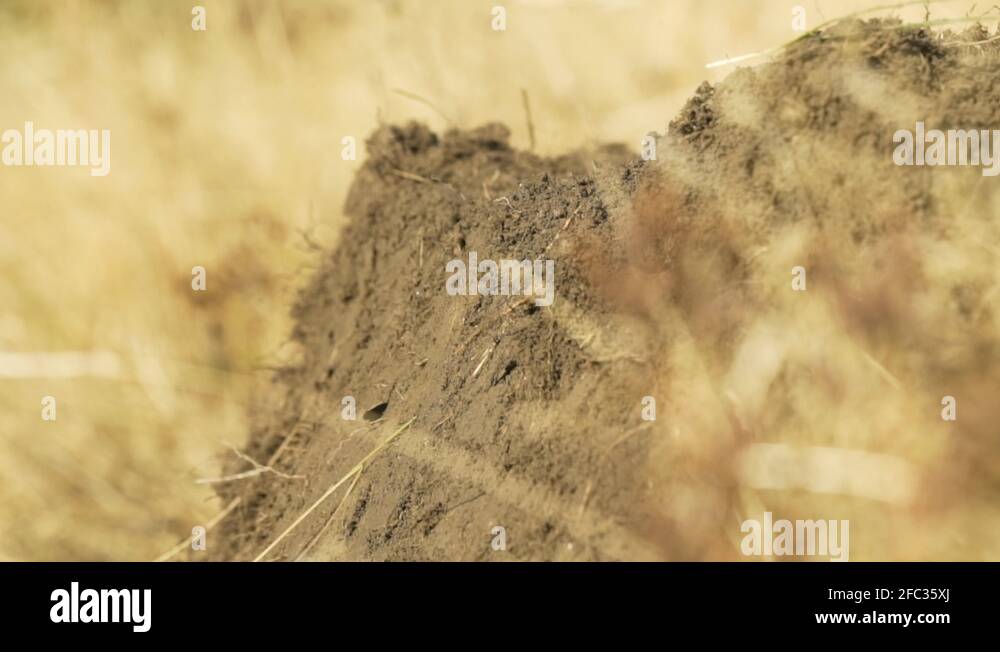 Soil ramp on dirt bike trail South Island Stock Video Footage - Alamy