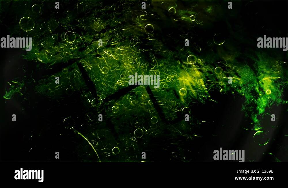 Green bubbles texture Stock Videos & Footage - HD and 4K Video Clips ...