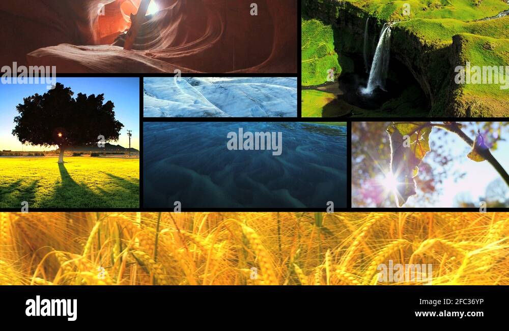 Ecosystems Stock Videos & Footage - HD and 4K Video Clips - Alamy