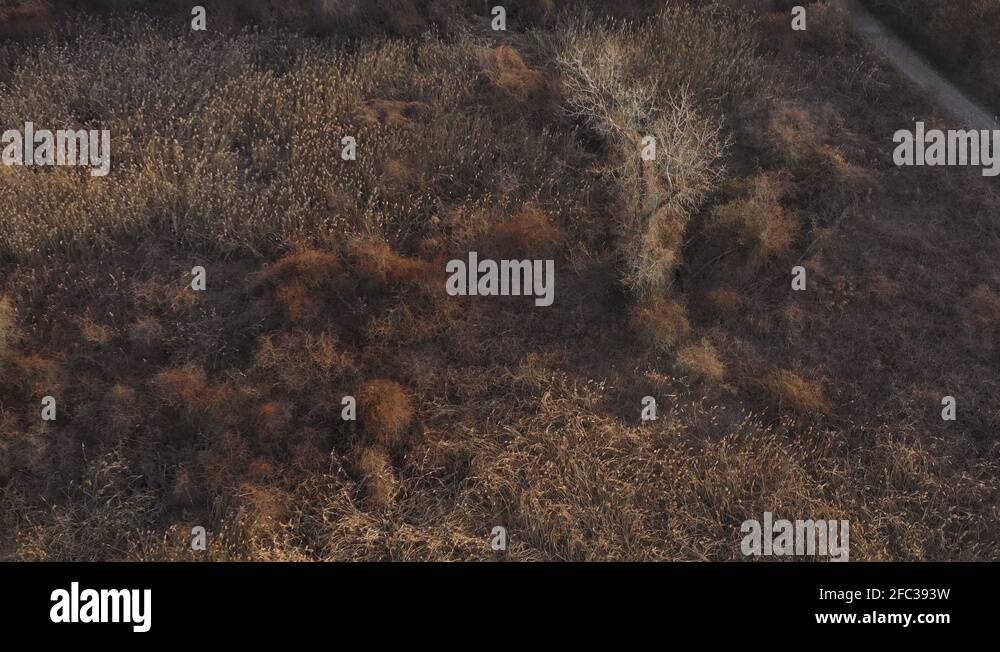 Grass field birds eye view Stock Videos & Footage - HD and 4K Video ...