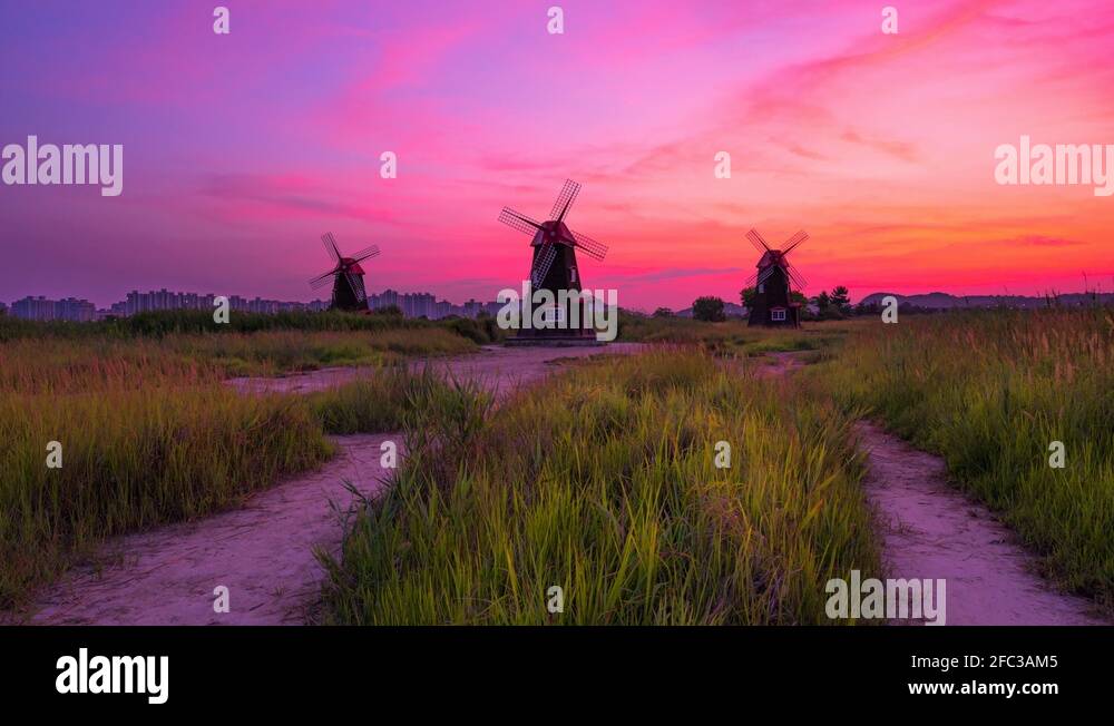 South korea ecology Stock Videos & Footage - HD and 4K Video Clips - Alamy