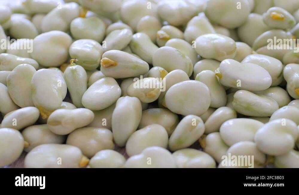 Raw fava beans Stock Videos & Footage - HD and 4K Video Clips - Alamy