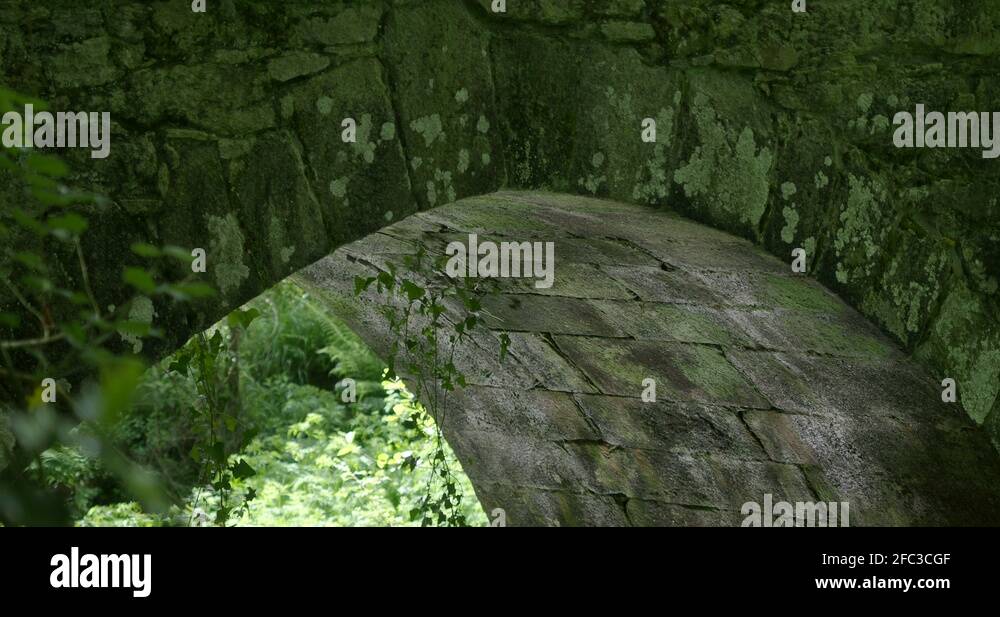 rural mossy stone bridge in the forest with beautiful water reflections ...