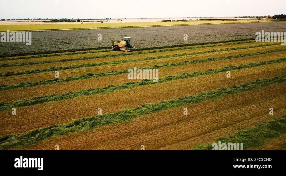 Monocrop Stock Videos & Footage - HD and 4K Video Clips - Alamy