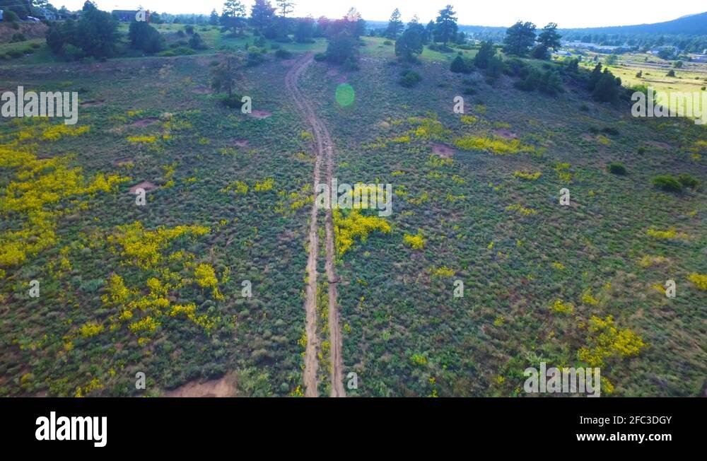 Flowers merging Stock Videos & Footage - HD and 4K Video Clips - Alamy