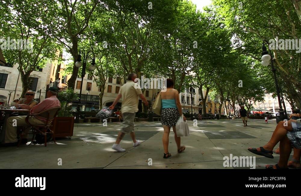 Palma park Stock Videos & Footage - HD and 4K Video Clips - Alamy