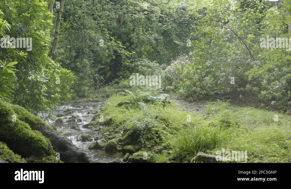 Pennine way beginning Stock Videos & Footage - HD and 4K Video Clips ...