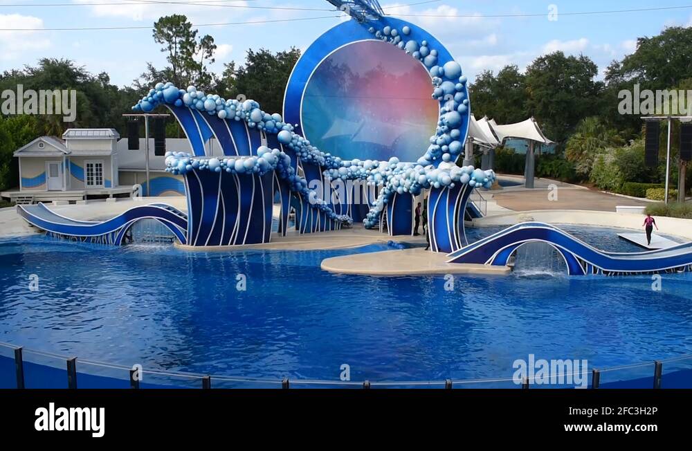 Seaworld orlando dolphin Stock Videos & Footage - HD and 4K Video Clips ...