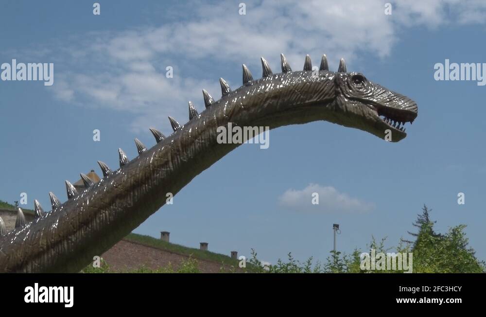 Realistic diplodocus dinosaur in dino park Stock Video Footage - Alamy