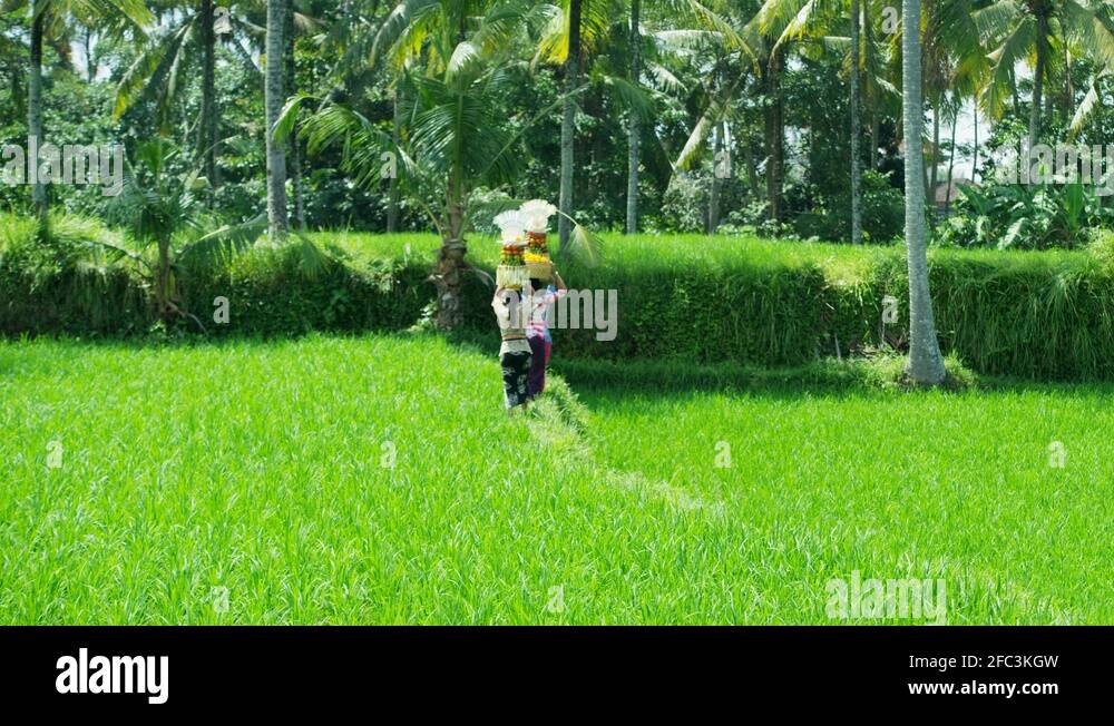 Traditional balinese offering baskets Stock Videos & Footage - HD and ...