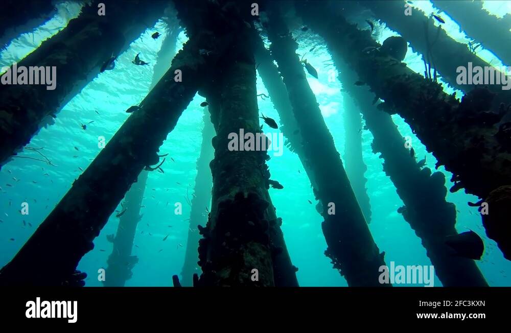 Underwater pier Stock Videos & Footage - HD and 4K Video Clips - Alamy