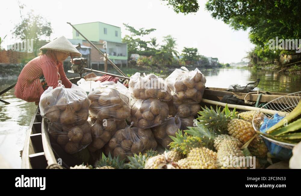 Pineapple transport Stock Videos & Footage - HD and 4K Video Clips - Alamy